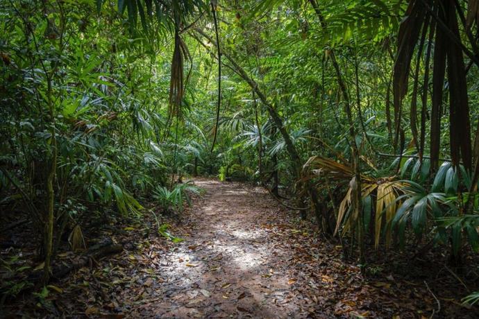 Escape Rooms in Hilo, HI | escaperoom.com